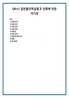 일반물리학실험2 전류에 의한 자기장-1페이지