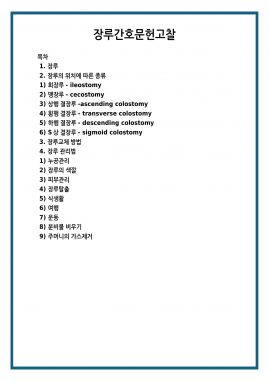 장루간호문헌고찰-1페이지