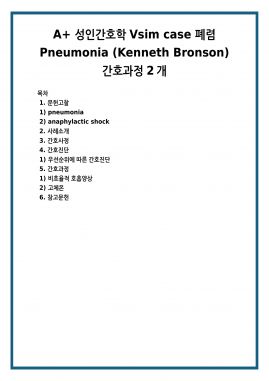 성인간호학 Vsim case 폐렴 Pneumonia (Kenneth Bronson) 간호과정 2개-1페이지