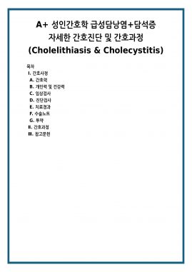 성인간호학 급성담낭염담석증 자세한 간호진단 및 간호과정 (Cholelithiasis & Cholecystitis)-1페이지