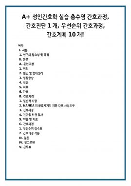 성인간호학 실습 충수염 간호과정, 간호진단 1개, 우선순위 간호과정, 간호계획 10개-1페이지