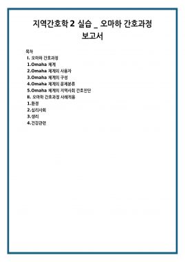 지역간호학2 실습 _ 오마하 간호과정 보고서-1페이지