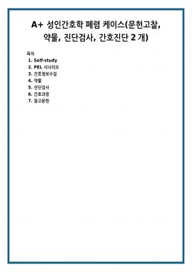 성인간호학 폐렴 케이스(문헌고찰, 약물, 진단검사, 간호진단 2개)-1페이지