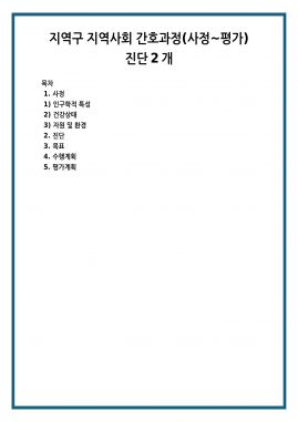 지역구 지역사회 간호과정(사정~평가) 진단2개-1페이지
