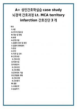 성인간호학실습 case study 뇌경색 간호과정 Lt. MCA territory infarction 간호진단 3개-1페이지