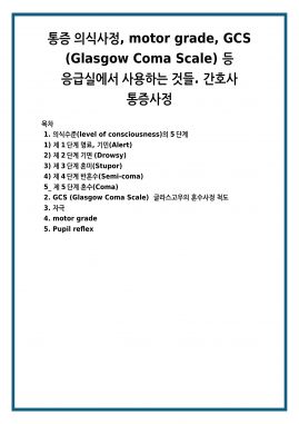 통증 의식사정, motor grade, GCS (Glasgow Coma Scale) 등 응급실에서 사용하는 것들.  간호사 통증사정-1페이지