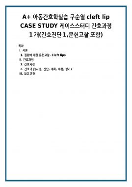 아동간호학실습 구순열 cleft lip CASE STUDY 케이스스터디 간호과정1개(간호진단1,문헌고찰 포함)-1페이지