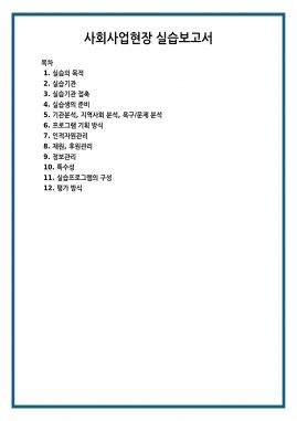 사회사업현장 실습보고서-1페이지