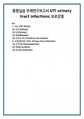 통합실습 주제연구보고서 UTI urinary tract infections 요로감염-1페이지
