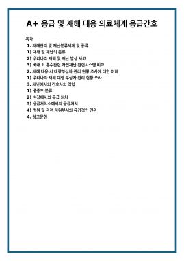 응급 및 재해 대응 의료체계 응급간호-1페이지