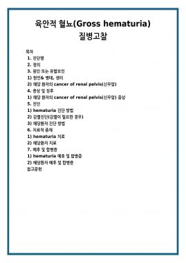 육안적 혈뇨(Gross hematuria) 질병고찰-1페이지