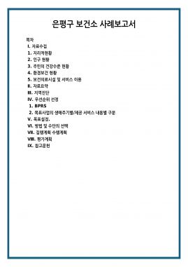 은평구 보건소 사례보고서-1페이지