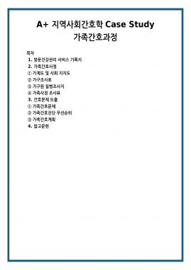 지역사회간호학 Case Study 가족간호과정-1페이지