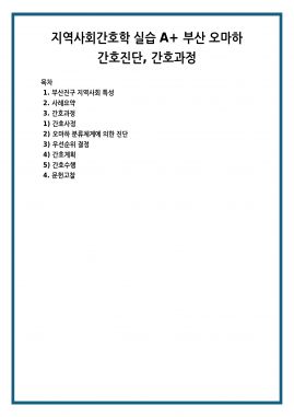 지역사회간호학 실습 부산 오마하 간호진단, 간호과정-1페이지