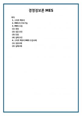 경영정보론 MES-1페이지