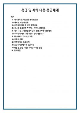응급 및 재해 대응 응급체계-1페이지
