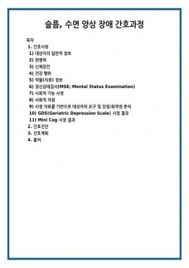 슬픔, 수면 양상 장애 간호과정-1페이지