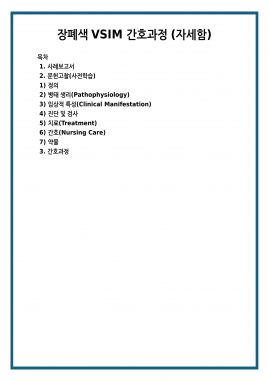 장폐색 VSIM 간호과정 (자세함)-1페이지