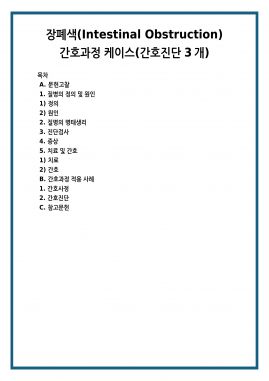 장폐색(Intestinal Obstruction) 간호과정 케이스(간호진단 3개)-1페이지