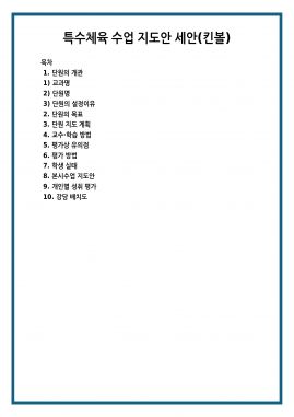 특수체육 수업 지도안 세안(킨볼)-1페이지