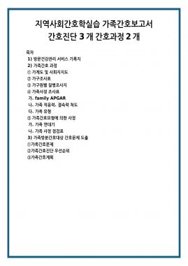 지역사회간호학실습 가족간호보고서 간호진단 3개 간호과정2개-1페이지