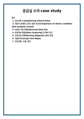 응급실 소아 case study-1페이지