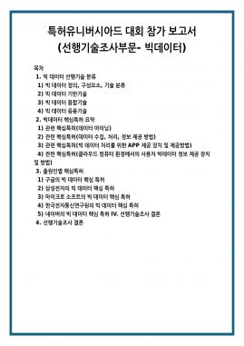 특허유니버시아드 대회 참가 보고서(선행기술조사부문- 빅데이터)-1페이지