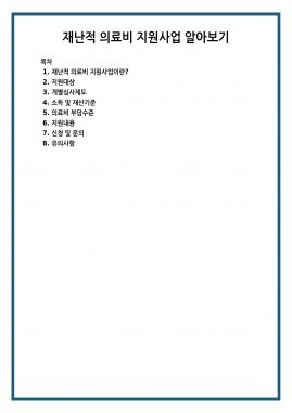 재난적 의료비 지원사업 알아보기-1페이지