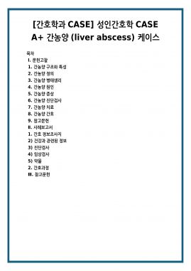 [간호학과 CASE] 성인간호학 CASE 간농양 (liver abscess) 케이스-1페이지