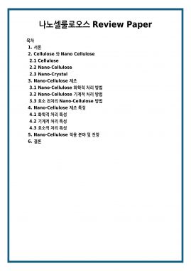 나노셀룰로오스 Review Paper-1페이지