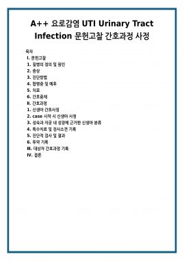 요로감염 UTI Urinary Tract Infection 문헌고찰 간호과정 사정-1페이지