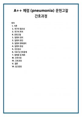 폐렴 (pneumonia) 문헌고찰 간호과정-1페이지