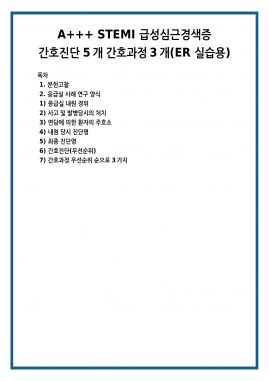 STEMI 급성심근경색증 간호진단 5개 간호과정3개(ER 실습용)-1페이지
