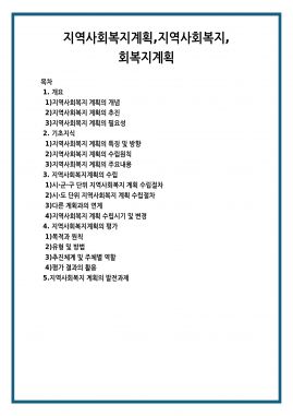 지역사회복지계획,지역사회복지,회복지계획-1페이지