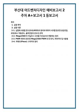 부산대 어드벤처디자인 예비보고서 2주차 보고서 1등보고서-1페이지