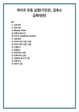 파이프 유동 실험(거친관, 급축소 급확대관)-1페이지