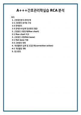 간호관리학실습 RCA분석-1페이지
