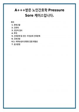 노인간호학 Pressure Sore 케이스입니다.-1페이지