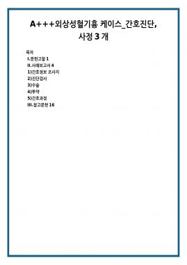 외상성혈기흉 케이스_간호진단,사정3개-1페이지