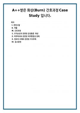 화상(Burn) 간호과정Case Study 입니다.-1페이지