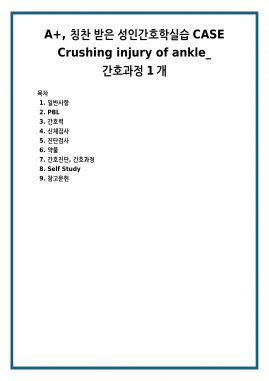 칭찬 받은 성인간호학실습 CASE Crushing injury of ankle_간호과정 1개-1페이지