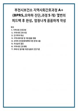 부천시보건소 지역사회간호과정 (BPRS,오마하 진단,과정5개) 몇번의 피드백 후 완성, 엄청나게 꼼꼼하게 작성-1페이지