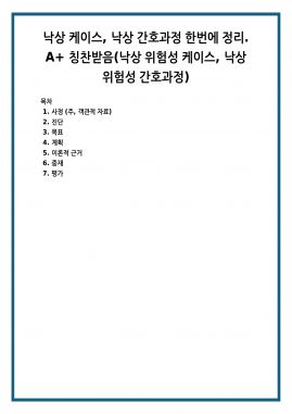 낙상 케이스, 낙상 간호과정 한번에 정리. 칭찬받음(낙상 위험성 케이스, 낙상 위험성 간호과정)-1페이지
