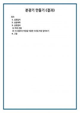 분광기 만들기 (결과)-1페이지