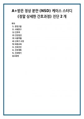 정상 분만 (NSD) 케이스 스터디 (정말 상세한 간호과정) 진단 2개-1페이지