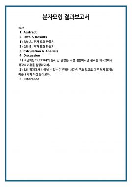 분자모형 결과보고서-1페이지
