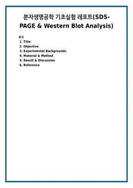 분자생명공학 기초실험 레포트(SDS-PAGE & Western Blot Analysis)-1페이지