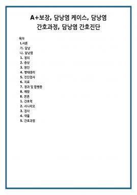 보장, 담낭염 케이스, 담낭염 간호과정, 담낭염 간호진단-1페이지