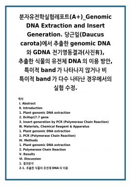 분자유전학실험레포트_Genomic DNA Extraction and Insert Generation. 당근잎(Daucus carota)에서 추출한 genomic DNA와-1페이지