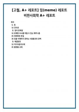 [고퀄,] 밈(meme) 비판사회학-1페이지